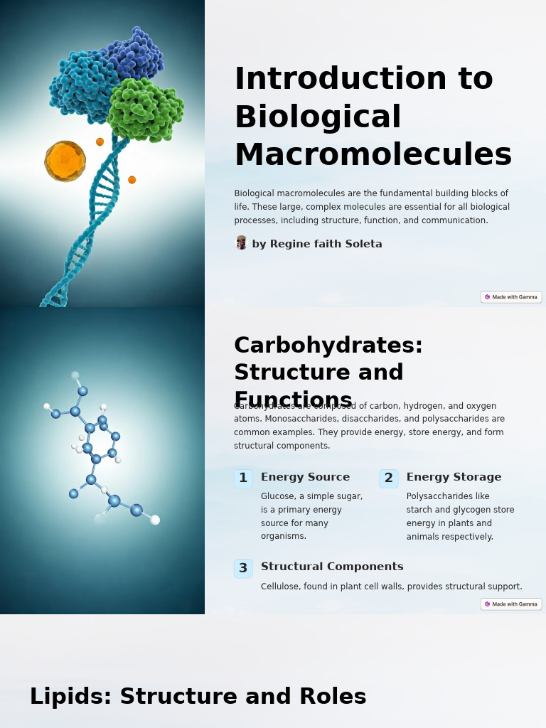 Overview of Biological Macromolecules | PDF | Macromolecules | Proteins
