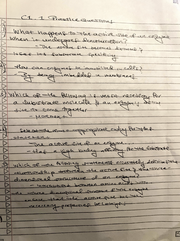 C1.1 Practice Questions Results | PDF