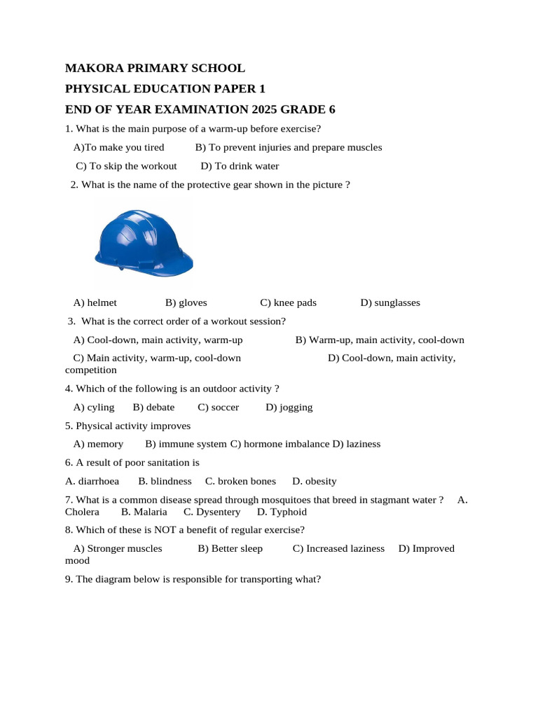Grade 6 PE Exam Paper 2025 | PDF