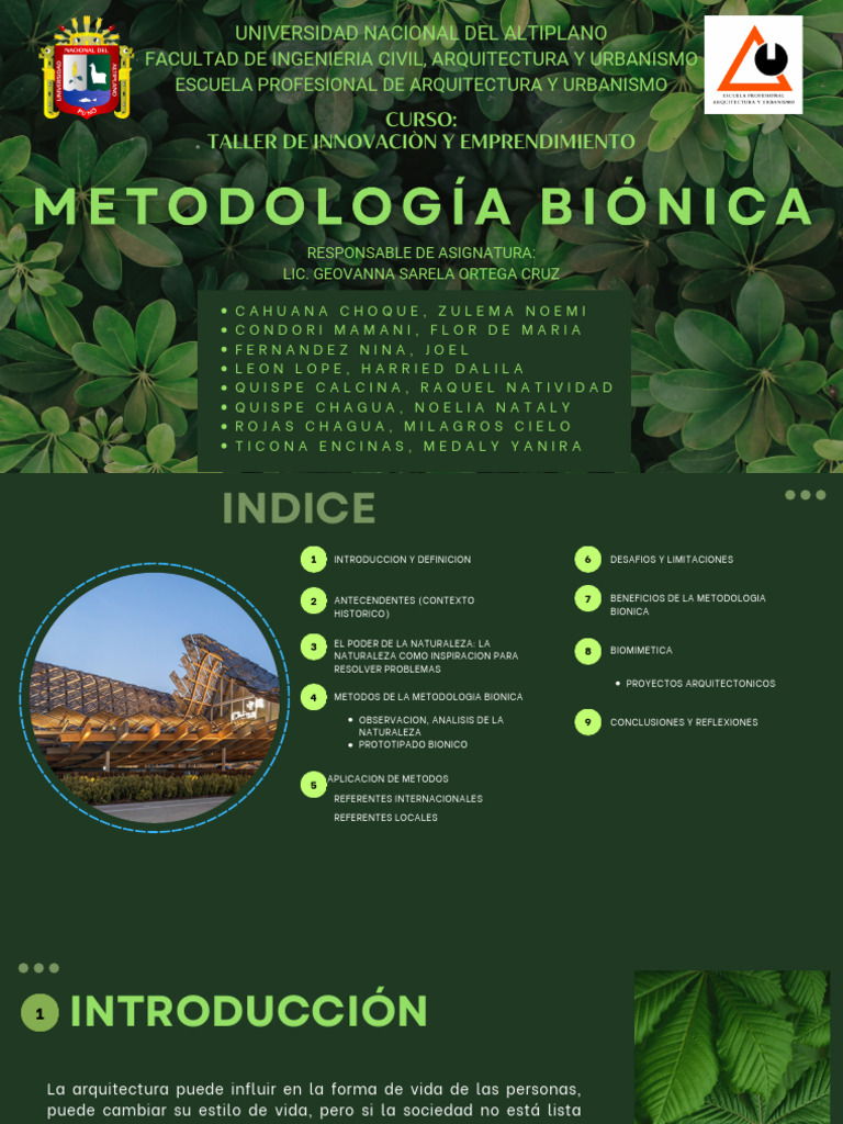Bio Mimetic A | PDF