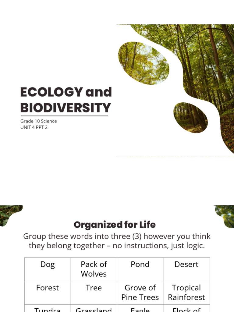 Ecology and Biodiversity Overview | PDF | Tropics | Ecosystem