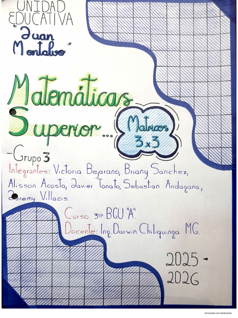 Matrices 3x3 - (Grupo 3) Matemáticas Superior | PDF