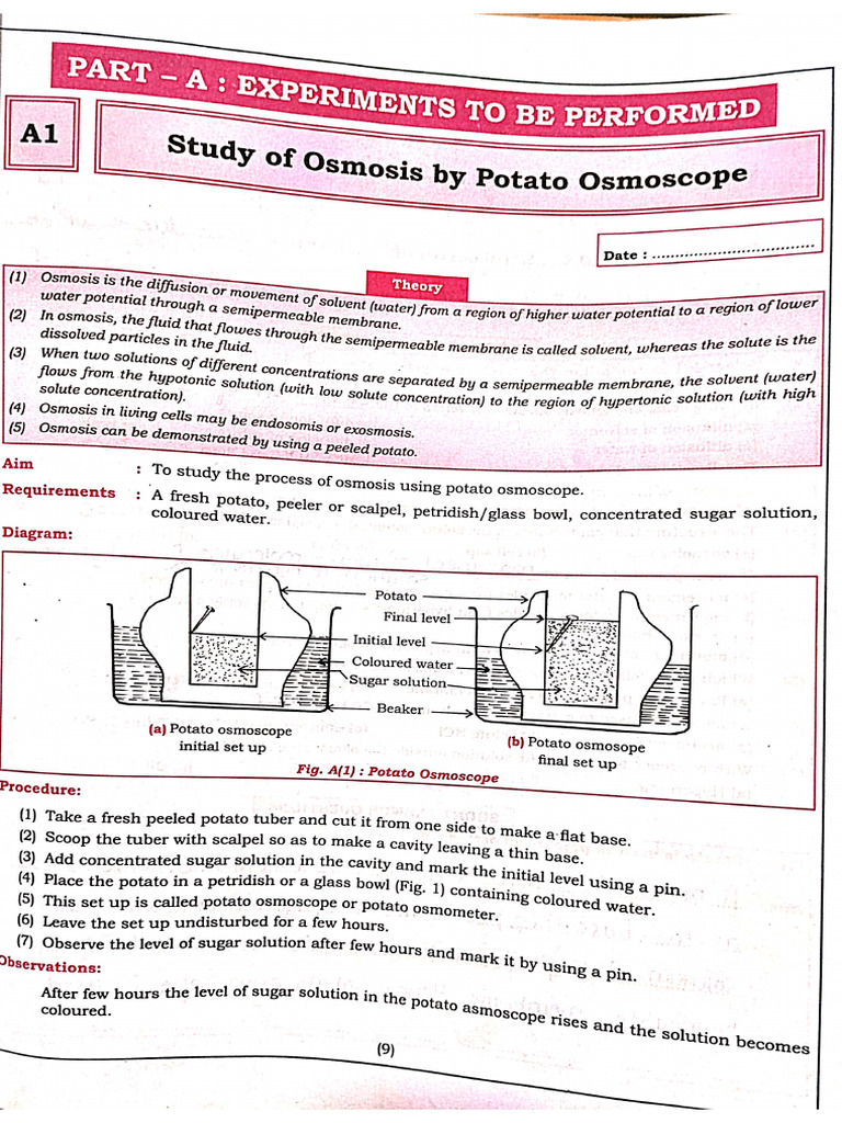 BIOLOGY Practical Book Answers 12th | PDF