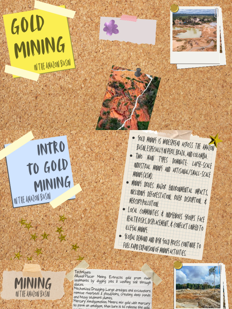Gold Mining in The Amazon Basin | PDF | Gold Mining | Mining