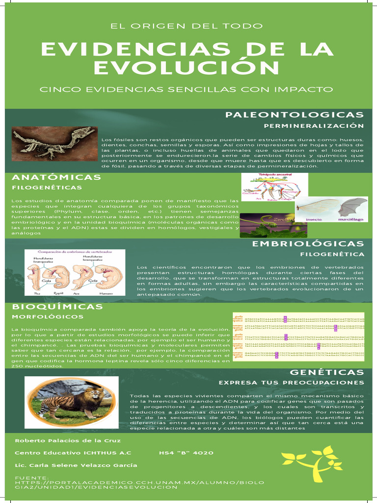Evidencias de La Evolución | PDF | Evolución | Adn