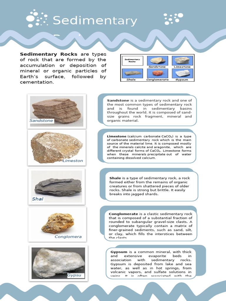 Sedimentary Rock | PDF | Sedimentary Rock | Clastic Rock