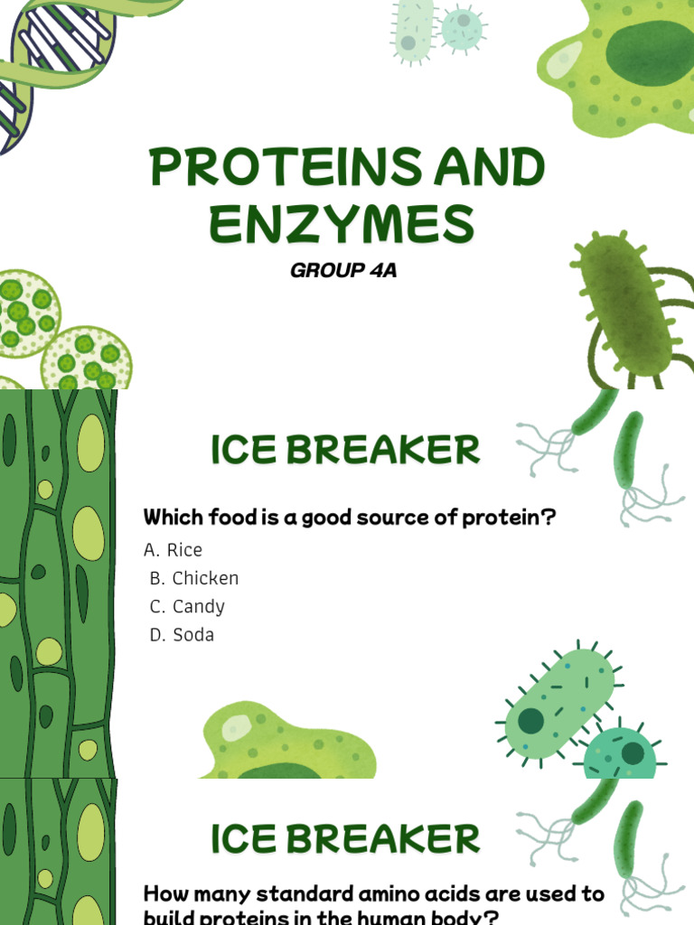 PROTEINS AND ENZYMES REPORT GROUP 4A | PDF | Proteins | Amino Acid