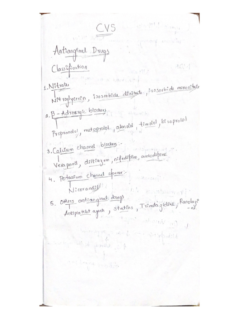 Cvs | PDF