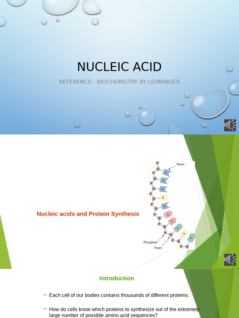 Nucleic Acids and Protein Synthesis | PDF | Dna Replication | Dna
