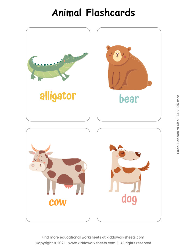 Animal Flash Card - Merged | PDF | Zoology