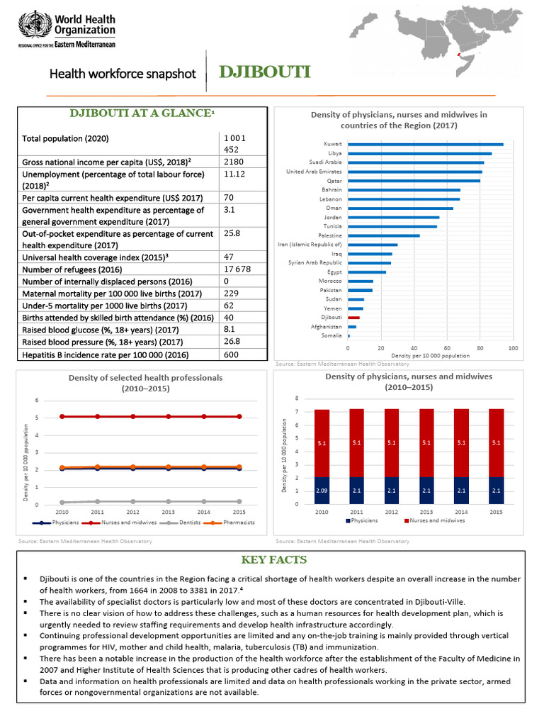 Health Workforce Snapshot DJIBOUTI | PDF | Health Professional | Arab World