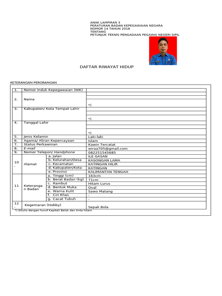 Petunjuk Teknis Pendaftaran PNS 2018 | PDF