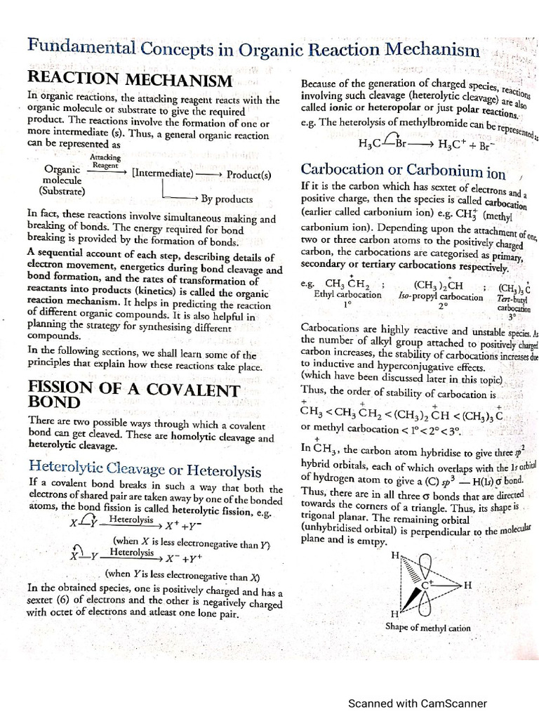 GOC Notes | PDF