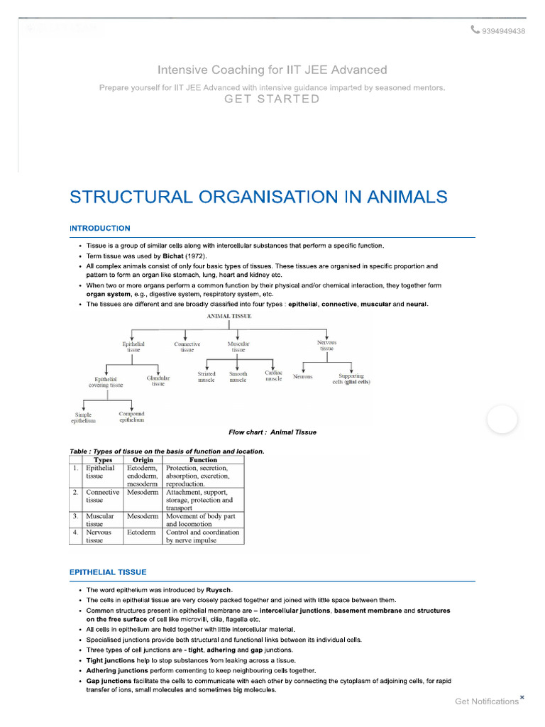 Structural Organisation in Animals - Biology | PDF