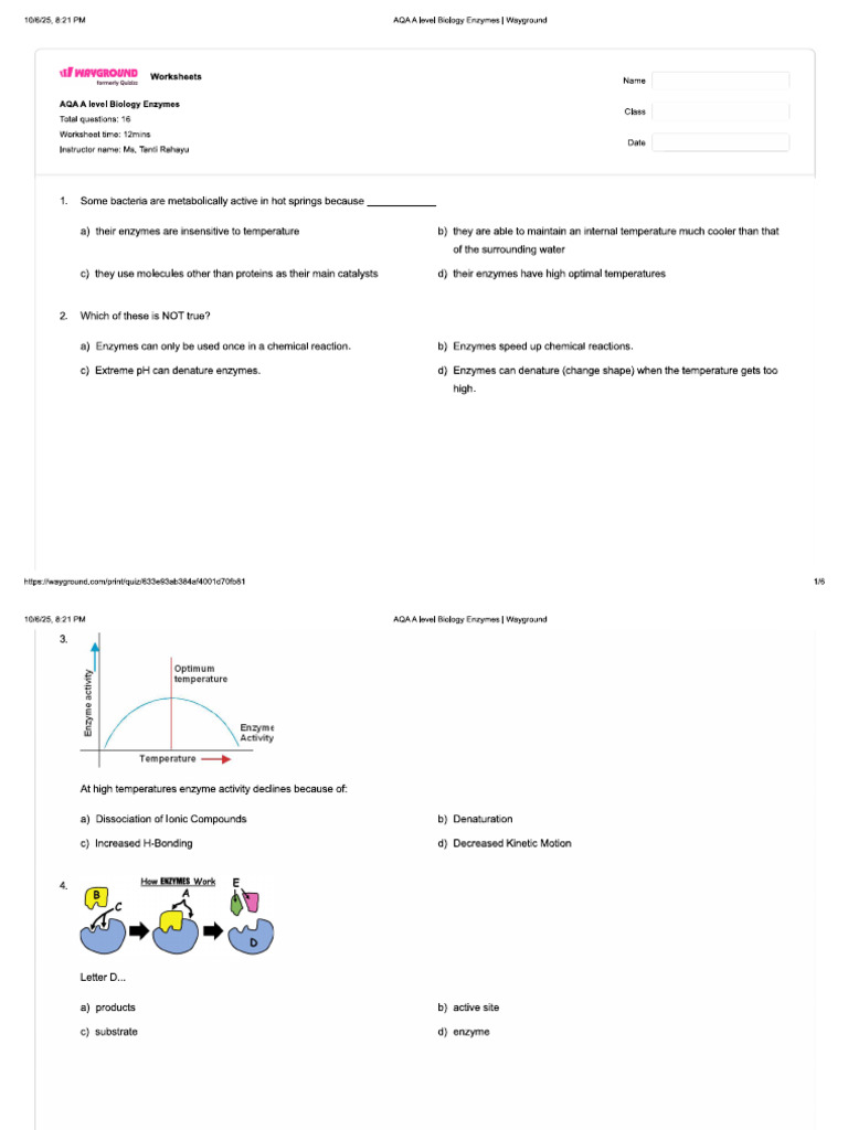 AQA Quiz Enzyme | PDF