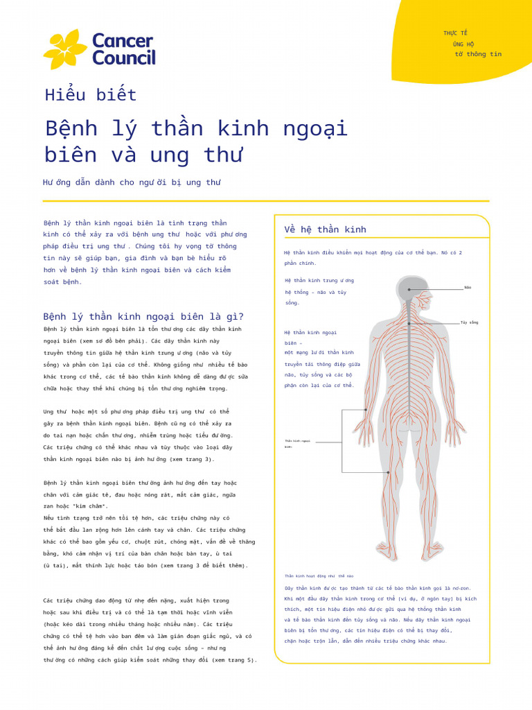 Understanding Peripheral Neuropathy 2024 | PDF