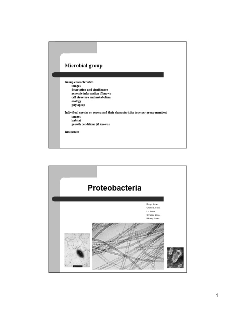 Overview of Proteobacteria Phylum | PDF | Bacteria | Organisms