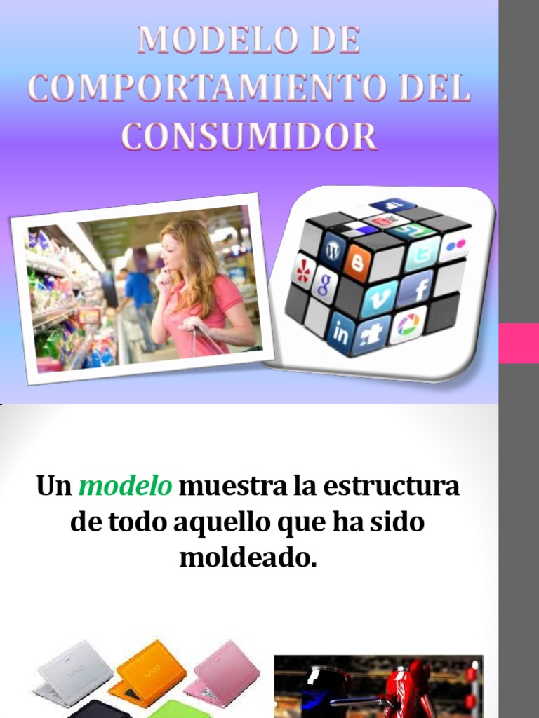 Modelo de Comportamiento Del Consumidor | PDF