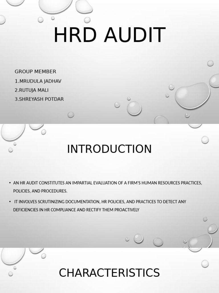 HRD Audit | PDF