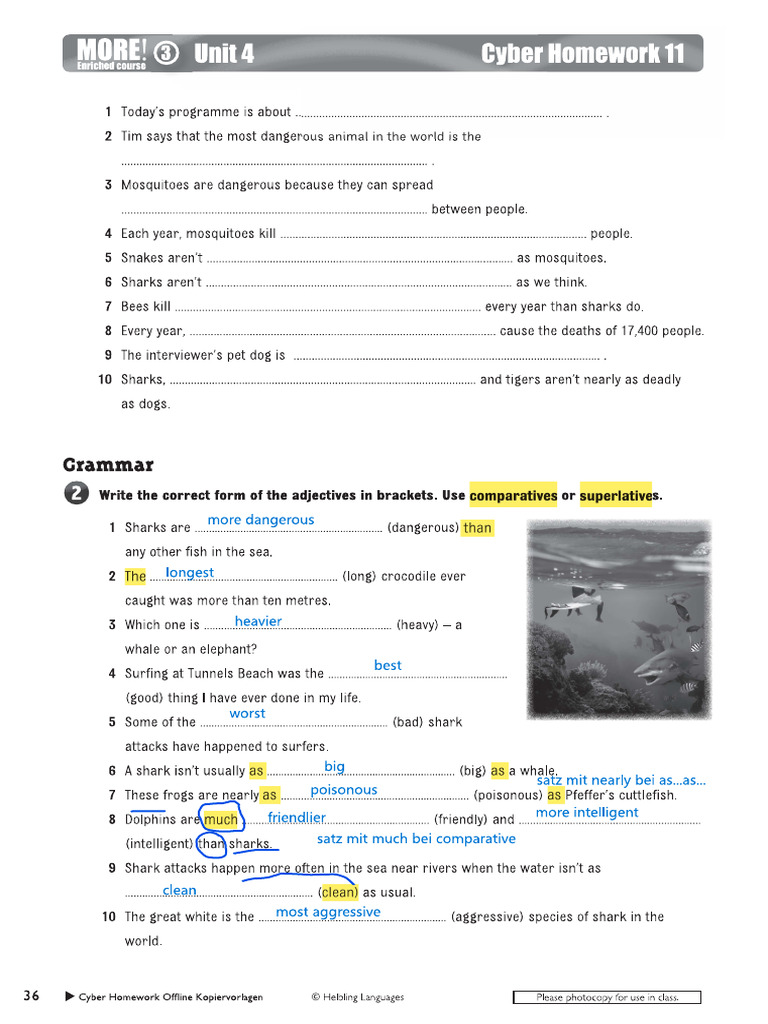 Cyberhomework More 3 - Unit 4 | PDF