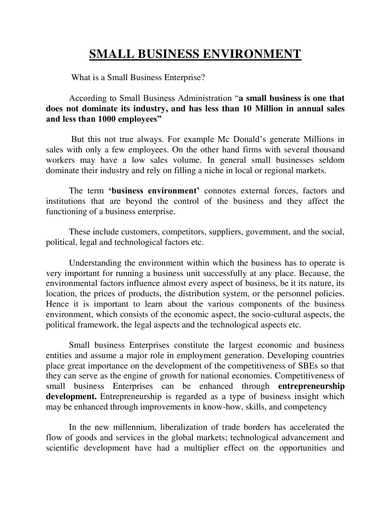 Understanding Small Business Enterprises | PDF | Entrepreneurship ...