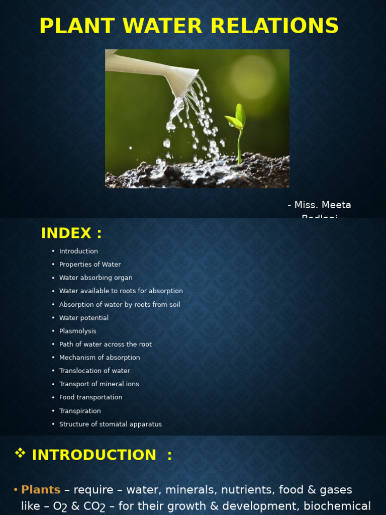 Plant Water Relations | PDF