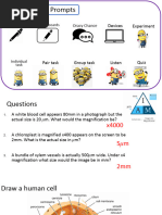 Tea Bag Diffusion Experiment Insights | PDF | Diffusion | Water