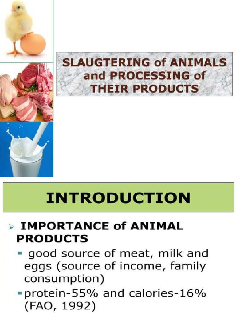 Slaughtering Processing of Farm Animals | PDF | Slaughterhouse