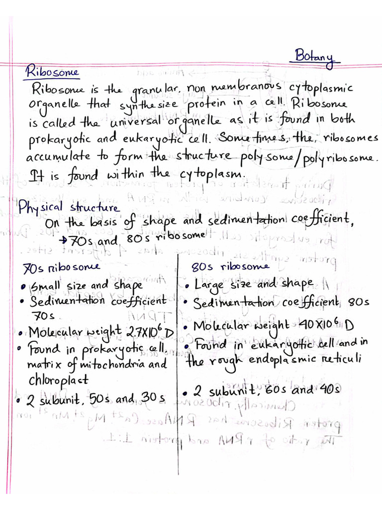Botany Pt. 2 | PDF
