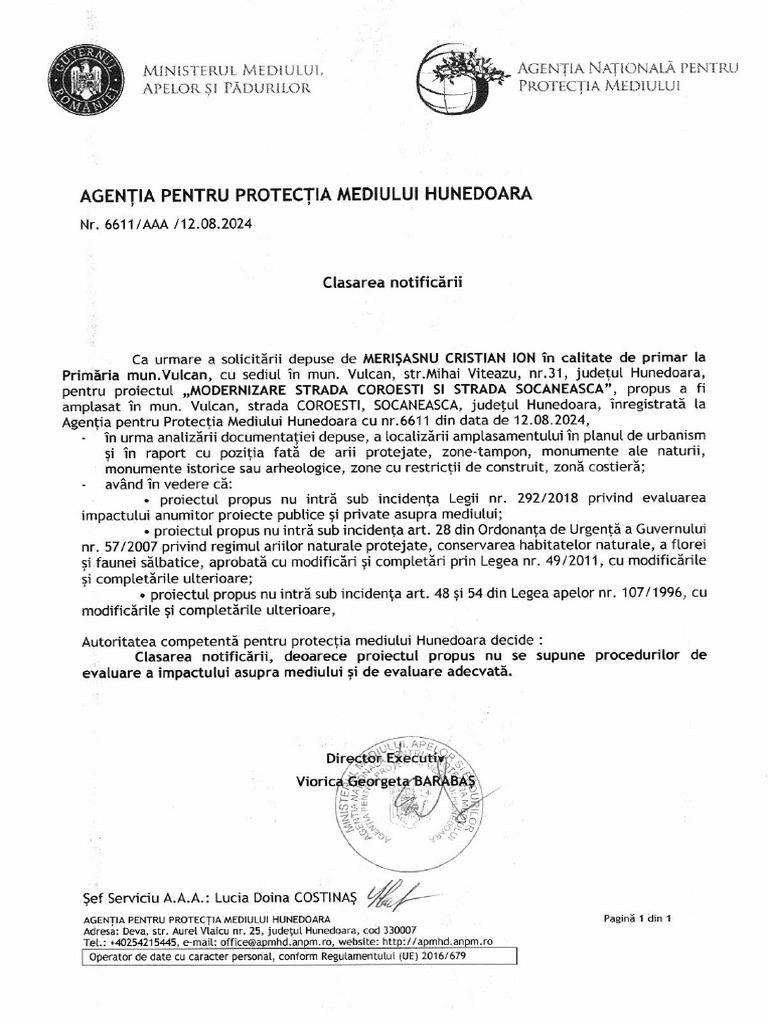 Mediu | PDF