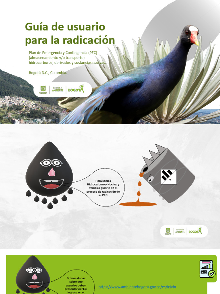Gui´a de usuario PEC - VF (1) | PDF | Informática