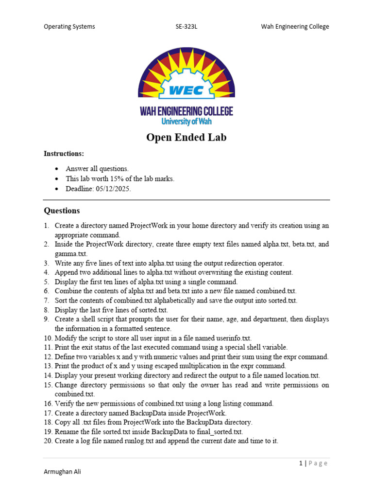 Open Ended Lab -- Os | PDF | Computer File | Filename