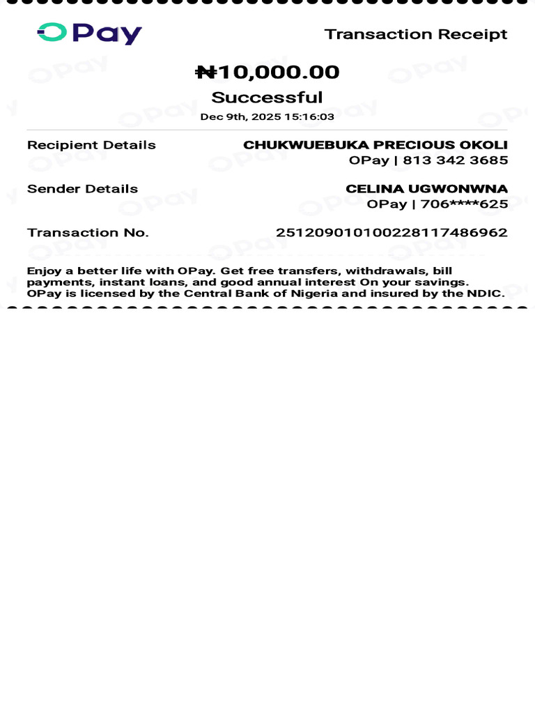 OPay Transaction Receipt Details | PDF