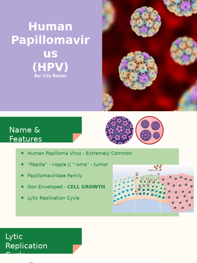Understanding Human Papillomavirus (HPV) | PDF | Neoplasms | Organisms