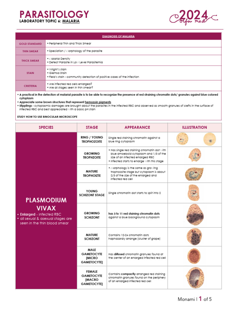 Malaria Diagnosis and Parasite Stages Guide | PDF | Plasmodium ...