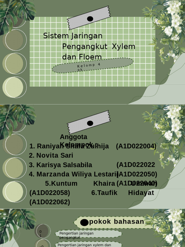 kel.4 xylem & floem | PDF