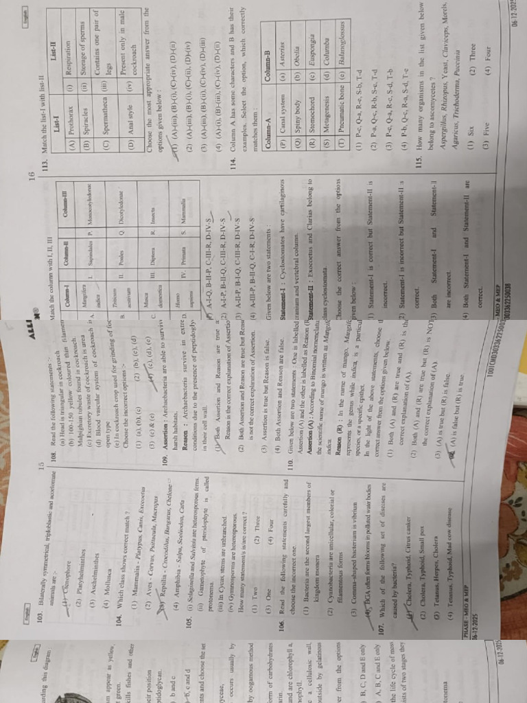 Mjor | PDF