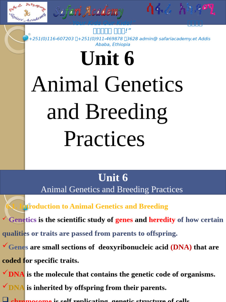 Animal Genetics and Breeding Practices | PDF | Genetics | Plant Breeding
