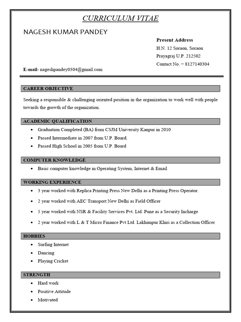 Nagesh Kumar Pandey CV Overview | PDF