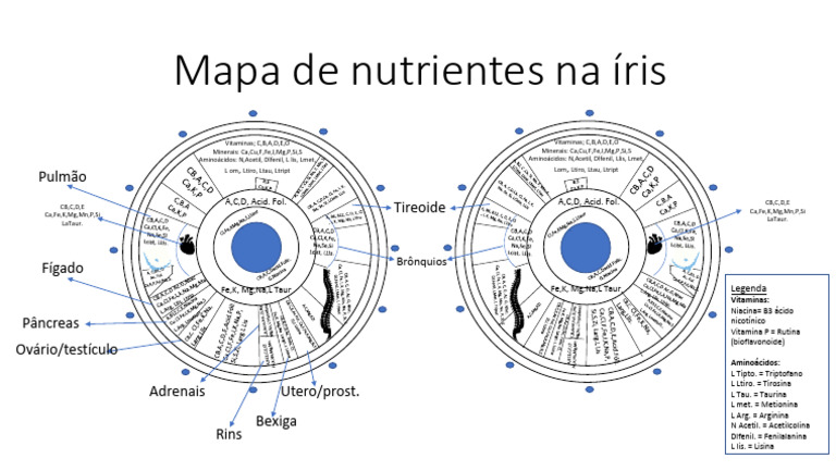 Mapa de Nutrientes Na Íris | PDF | Aminoácidos | Nutrientes esenciales