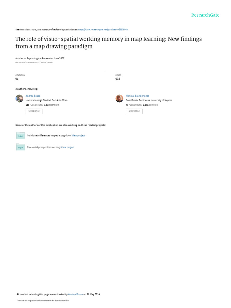 The Role of Visuo-Spatial Working Memory in Map Learning: New Wndings ...