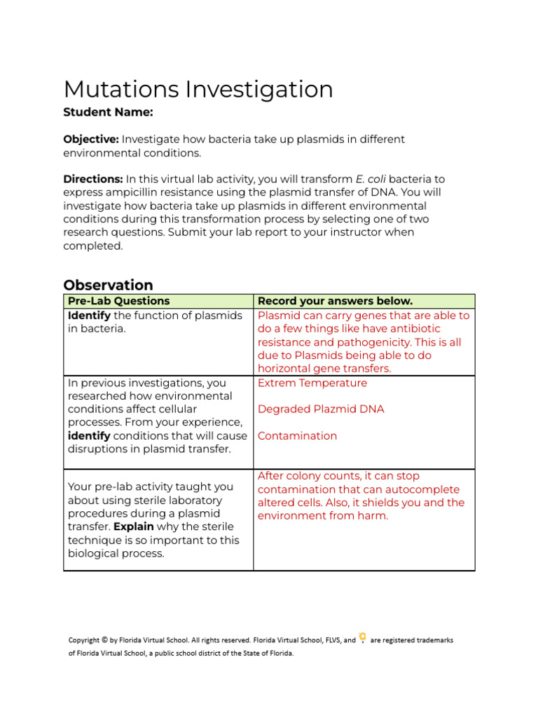 Copy of 6.07 Mutations Investigation Lab Report Template.docx | PDF ...