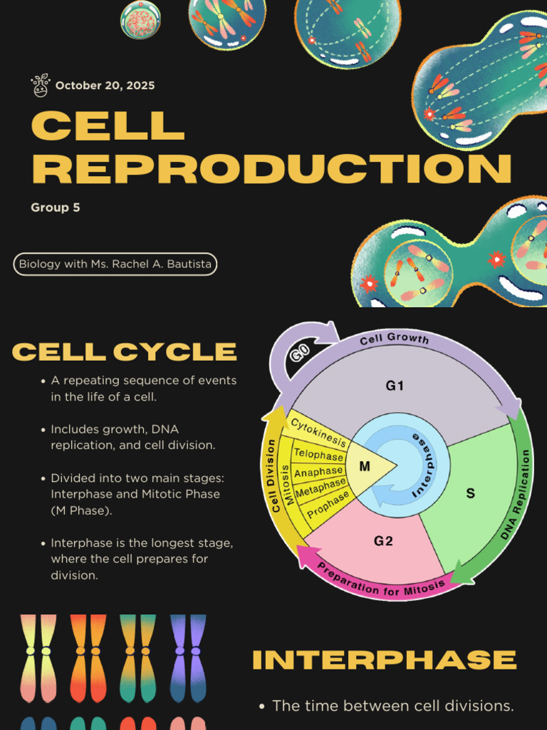 Unit Cellular Reproduction - Group 5 - 20251020 - 112215 - 0000 | PDF ...