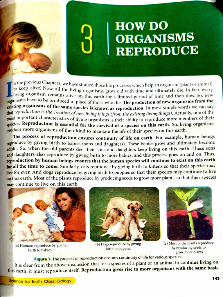 How Do Organisms Reproduce | PDF