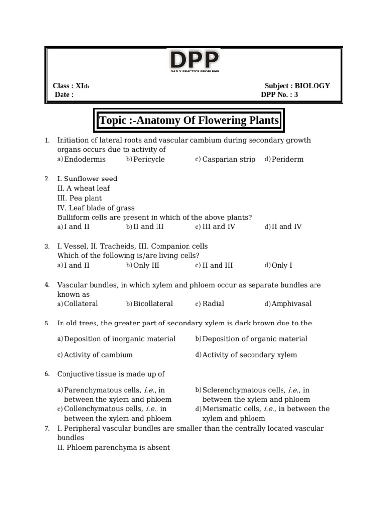 Dpp -3 | PDF | Plant Stem | Anatomy