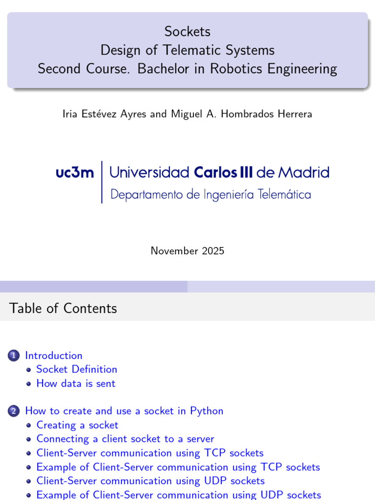 Sockets Theory | PDF | Network Socket | Port (Computer Networking)
