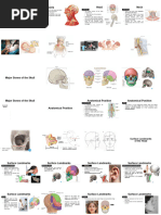 Extraoral Anatomical Landmarks Guide | PDF | Skull | Human Head And Neck