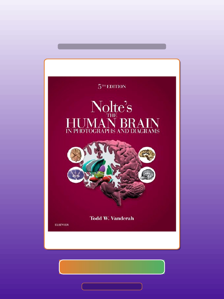 Test Bank for Noltes the Human Brain in Photographs and Diagrams 5th Ed ...