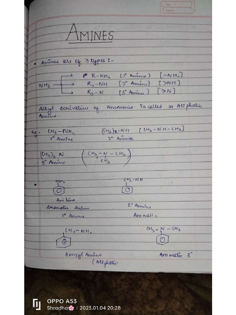 Amines | PDF