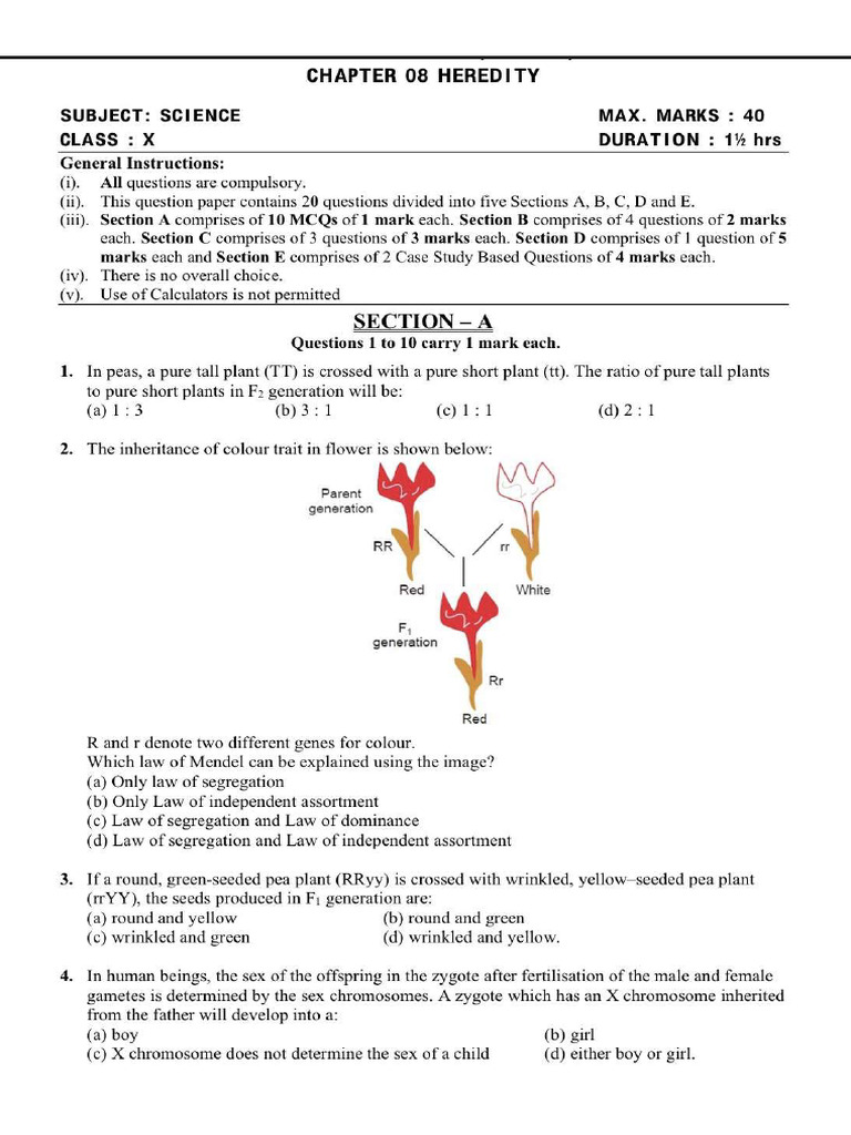 Heredity 26. X | PDF